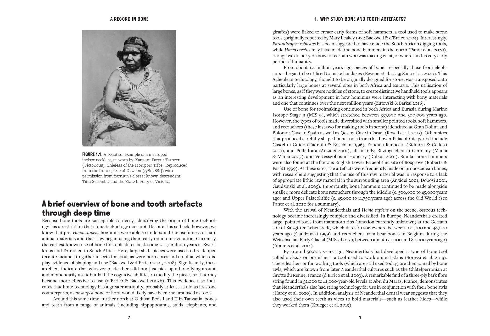 A Record in Bone – AIATSIS Shop