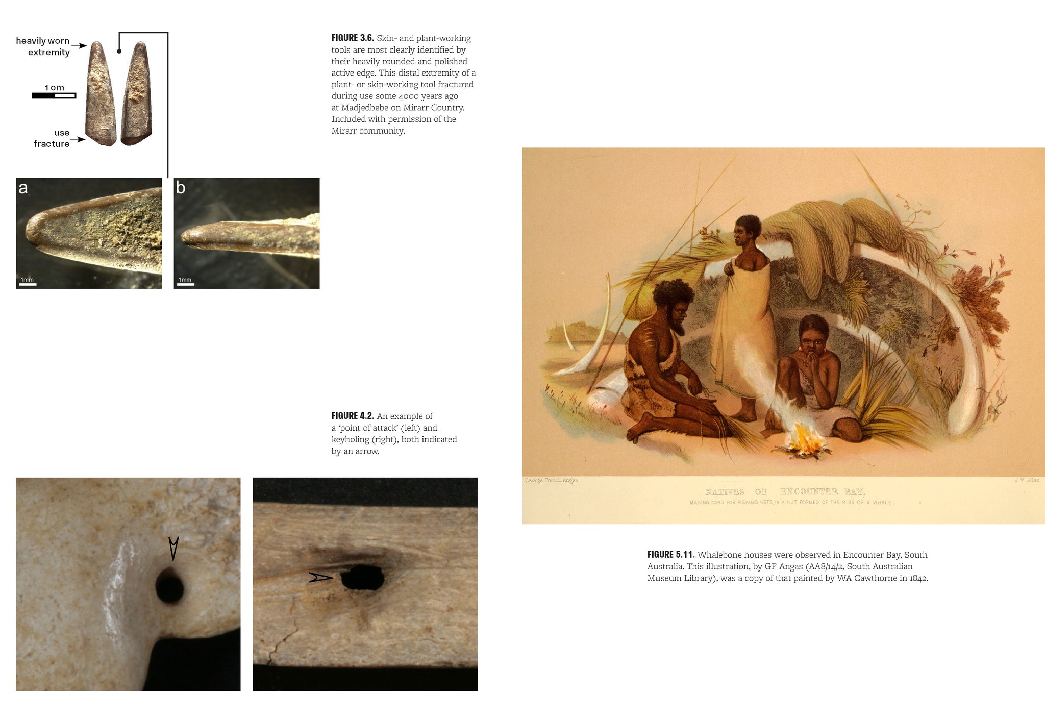 A Record in Bone – AIATSIS Shop